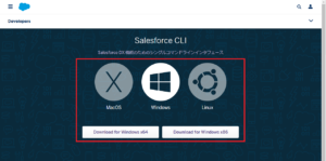 Salesforce CLIとは？基本機能、使うべき理由やインストール手順を解説 | Strh株式会社(ストラ)