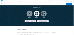 LWCとは？基本知識からセットアップ手順、操作方法まで徹底解説！ | Strh株式会社(ストラ)