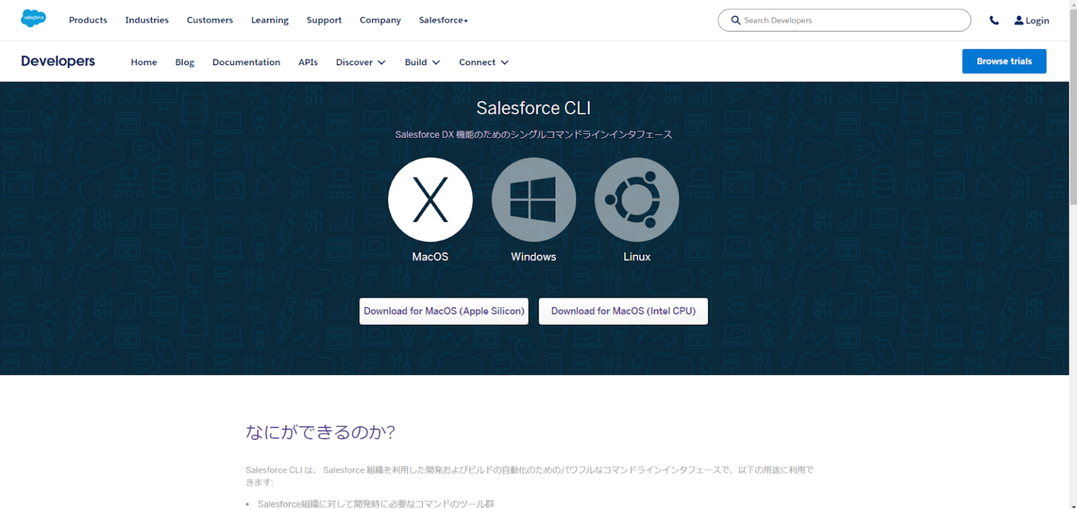 LWCとは？基本知識からセットアップ手順、操作方法まで徹底解説！ | Strh株式会社(ストラ)